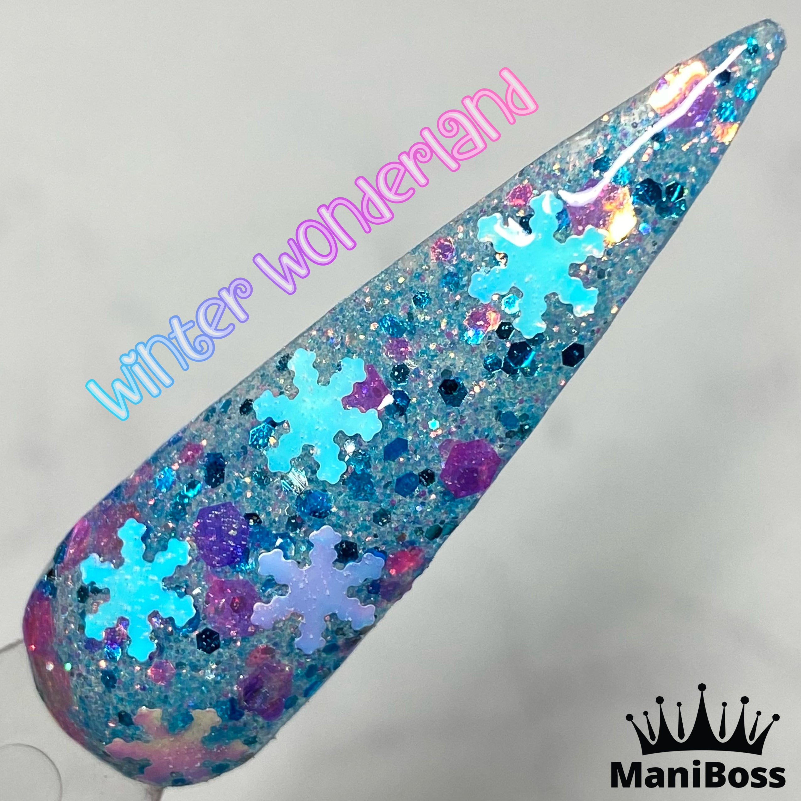 Winter Wonderland – Mani Boss